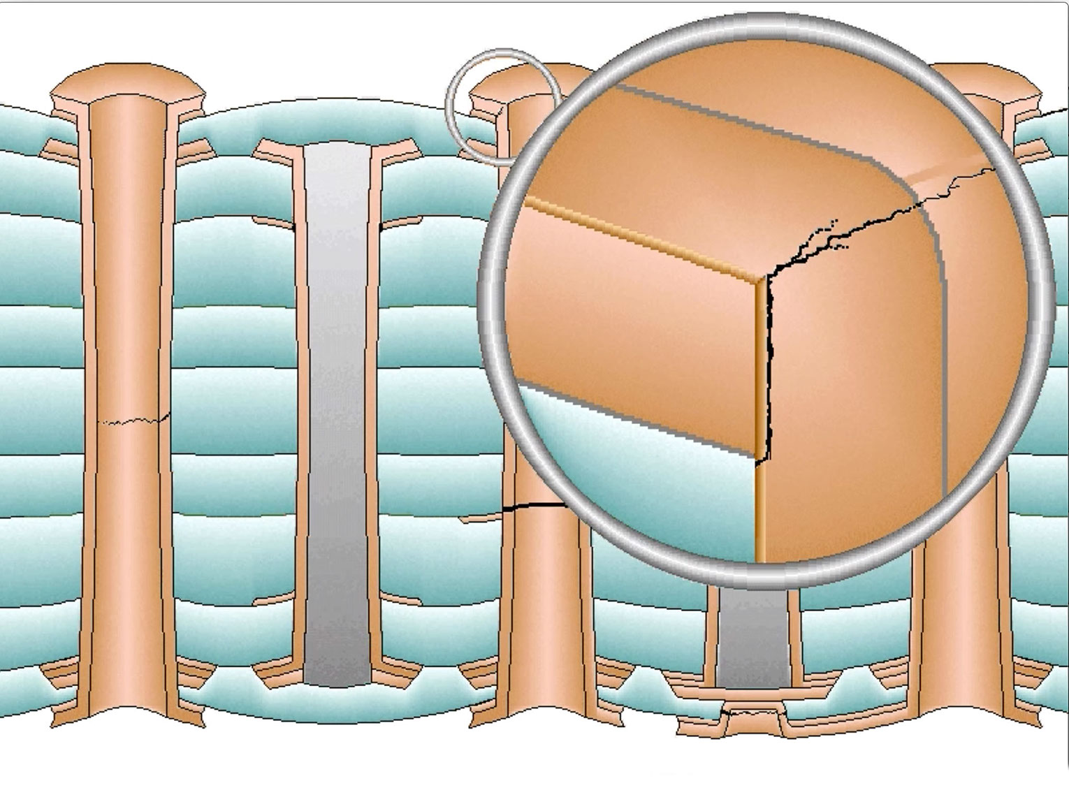 Polar | IST Interconnect Stress Test